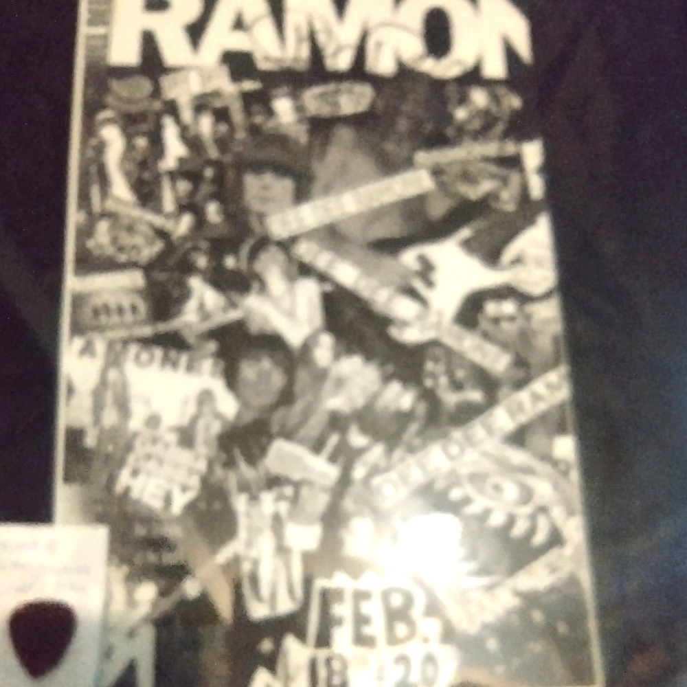 . Signed And Used By Dredee Ramone Onstage Fender Gui… - Gem